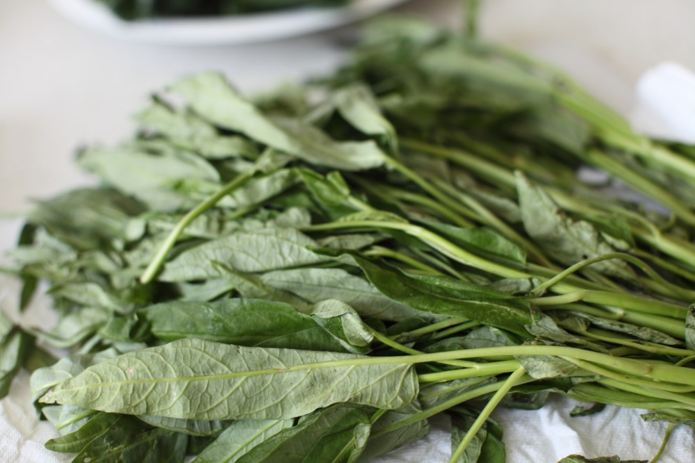 Chicken Tinola (Filipino) – I'm Bored Let's Eat